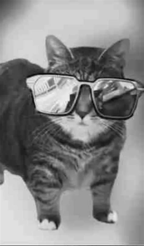 آهنگ اهنگ تولدت مبارک عو عی عا