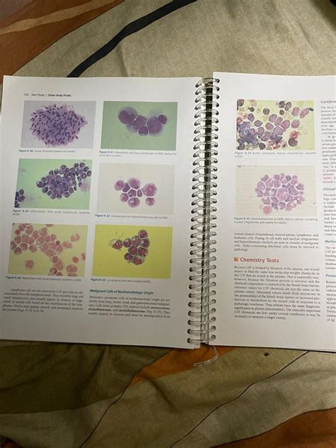 Netter Atlas Of Human Anatomy Hobbies And Toys Books And Magazines Textbooks On Carousell