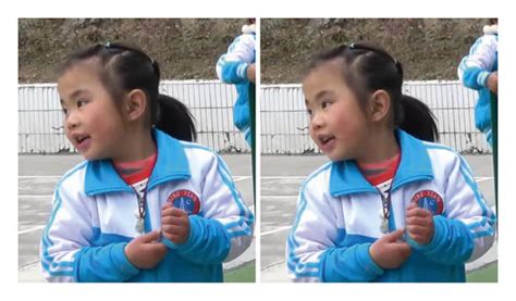 The Comparison Of Local Magnification Of 2d Integer Dct Compression