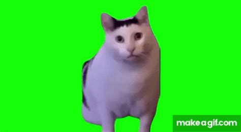 huh 猫 GB素材 素材 meme memes on Make a