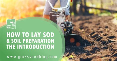 How To Lay Sod Soil Preparation Update Guide