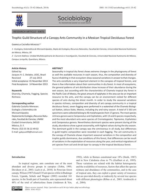 PDF Trophic Guild Structure Of A Canopy Ants Community In A Mexican