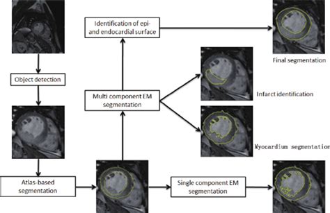 Workflow Of The Automatic Segmentation Framework And Mcem Against Em Download Scientific Diagram