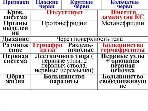 Царство животных презентация онлайн