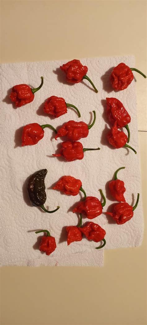 another year another kallax r boardgames