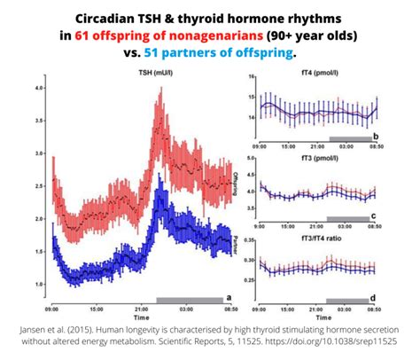 The Significance Of The Tsh Ft3 Circadian Rhythm Thyroid Patients Canada
