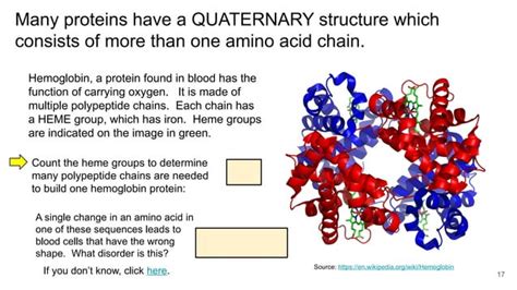 Biomolecules Proteins Guided Learningpptx