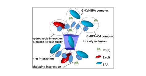 Multifunctional β Cyclodextrin Polymer For Simultaneous And Effective