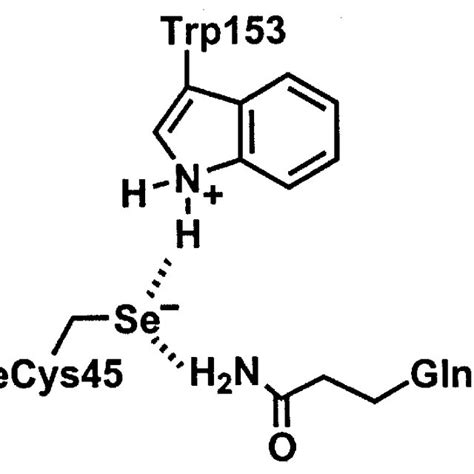Pdf Selenium Containing Enzymes In Mammals Chemical Perspectives