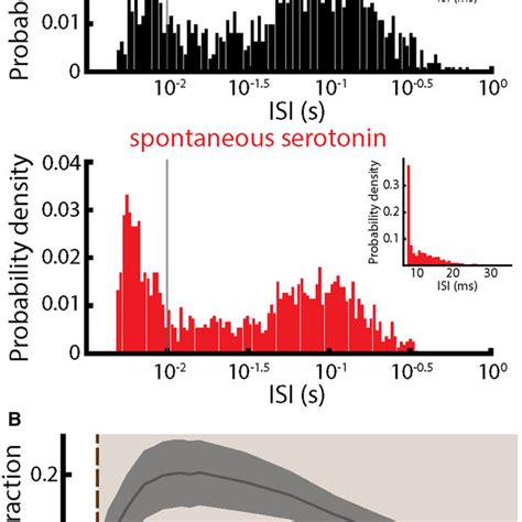 Effects Of Serotonin On Spontaneous Ell Pyramidal Cell Activity A