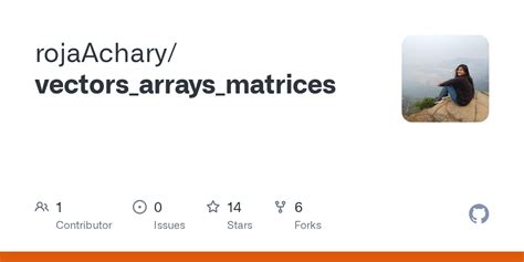 Github Rojaacharyvectorsarraysmatrices