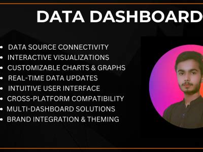 Professional Data Dashboard Creation Python Interactive Visualizations Upwork