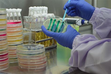 The Science Behind Protection Understanding Biocides Matapel Chemicals