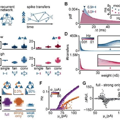 Connectivity Underlying Activity Propagation In The Network A Download Scientific Diagram