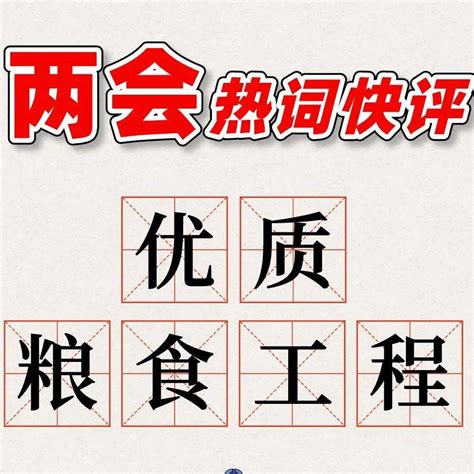 热词来了 报告 张网 冰雪