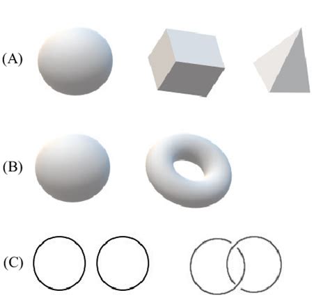 Figure 1 From An Algorithm Based On Topological Data Analysis For