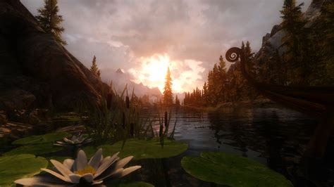 391 Best Lily Pad Images On Pholder Nature Is Fucking Lit Detail