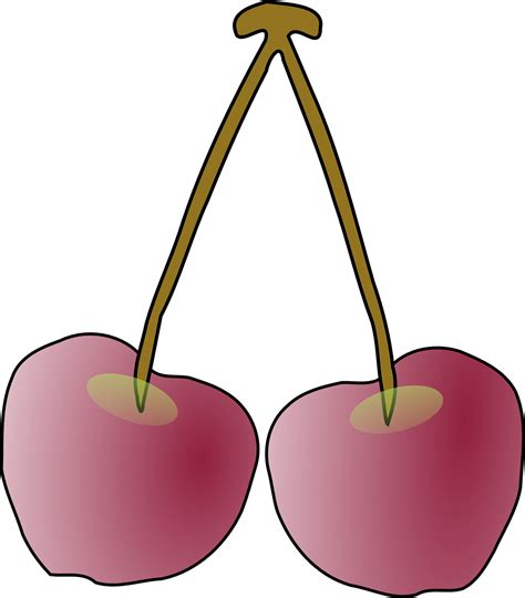 Cerezas Fruta Rojo Gráficos vectoriales gratis en Pixabay Pixabay