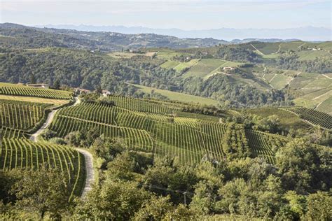 Langhe Roero et Monferrato périple gastronomique et viticole ELLE be