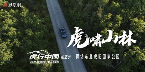 虎啸山林虎行中国第2季，探访东北虎豹国家公园凤凰网视频凤凰网