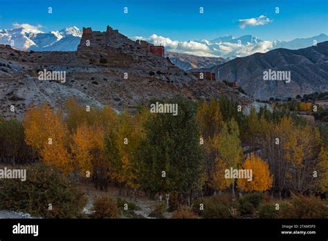 In Gheling The Thrangu Tashi Choling Monastery Dates Back To The 15th
