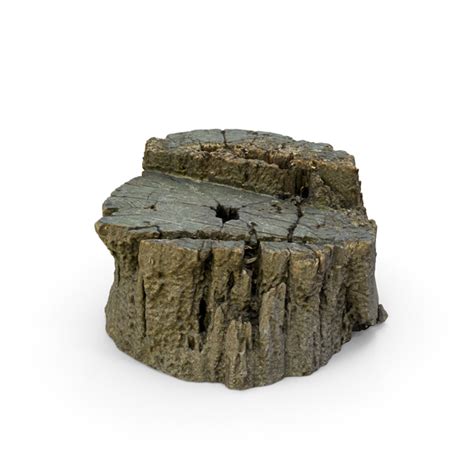 Tree Stump PNG Images PSDs For Download PixelSquid S