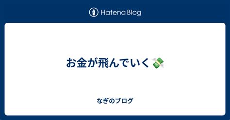 お金が飛んでいく💸 なぎのブログ