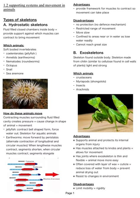 Biology Grade 11 Ieb Stuvia Sa
