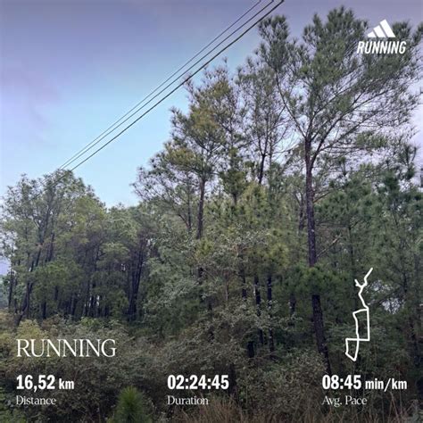 Thuong Le On Linkedin Happytet