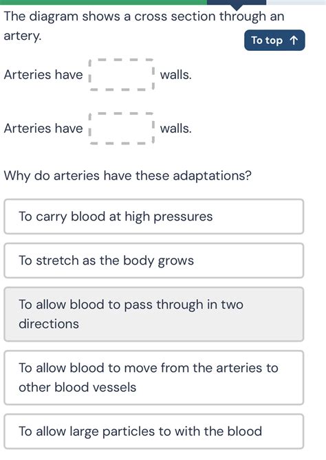 Solved The Diagram Shows A Cross Section Through An Artery To Top