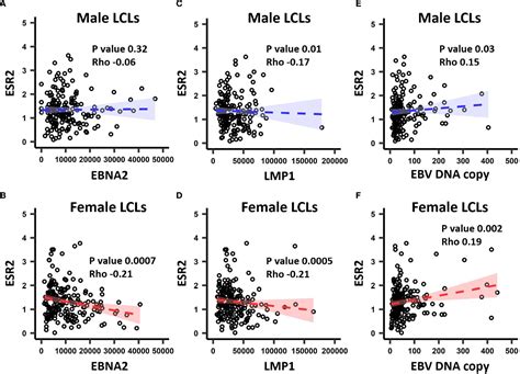 Figure 2 From Gender And The Sex Hormone Estradiol Affect Multiple