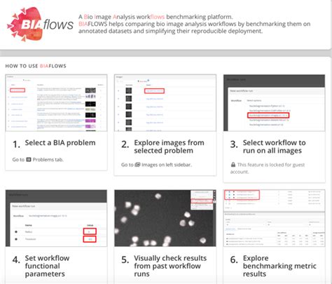 Biaflows A Collaborative Framework To Benchmark Bioimage Analysis