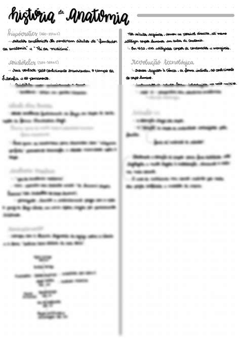 SOLUTION Hist Ria Da Anatomia Studypool