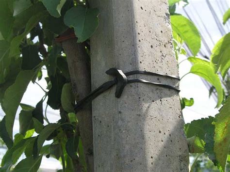 Tree Fix Cm Tree Wire Pcs Kg Kg Bag Inderst