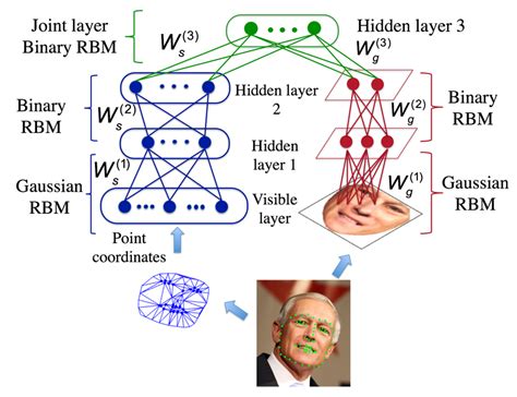 Deep Appearance Models That Consists Of Shape Model Left Texture Download Scientific Diagram