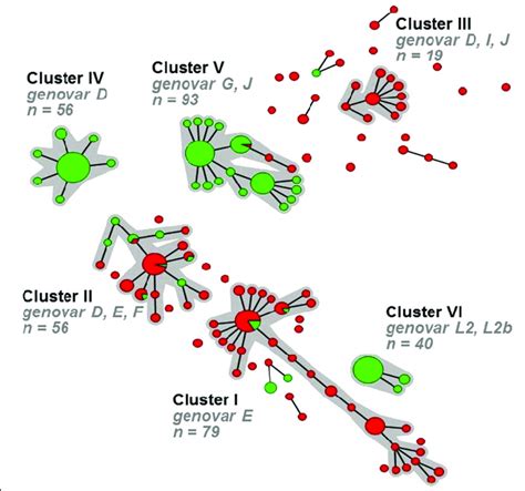 Minimum Spanning Tree Showing The Mlst Pattern Of 392 Chlamydia