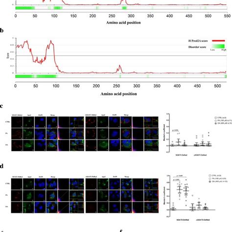 Ffa Induced Hepatic Lipid Accumulation Depended On Apoj The Cellular
