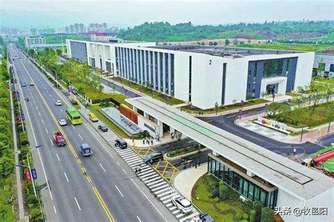 图赏四川｜世界上第一只大熊猫科学发现地：天府之肺雅安