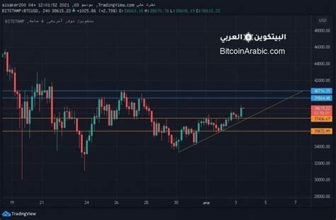 البيتكوين وبداية رحلة الارتفاع البيتكوين العربي