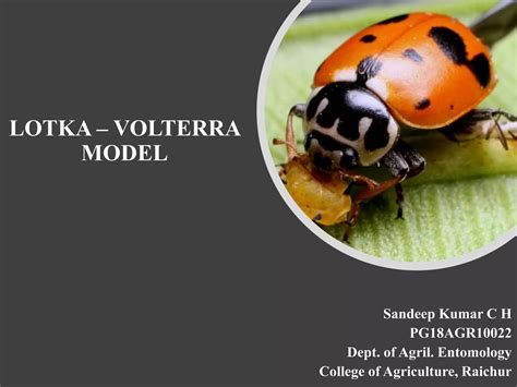 Lotka Volterra Model Pptx
