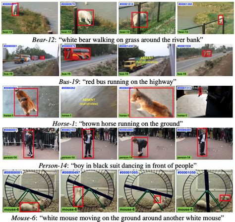 Lasot Dataset Papers With Code