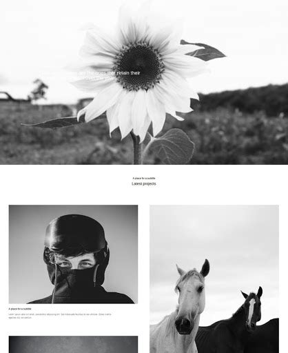 Turbify Templates