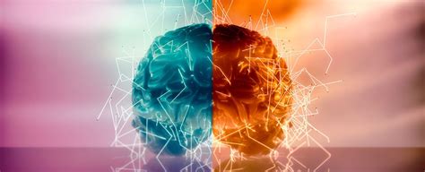 These Crucial Brain Functions Are Not Affected By Gender Or Sex Study Reveals ScienceAlert