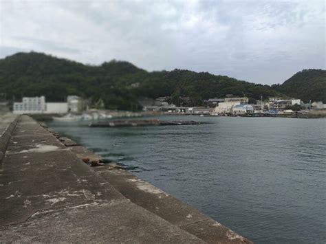 【海釣りポイント】和歌浦漁港＠和歌山県和歌山市