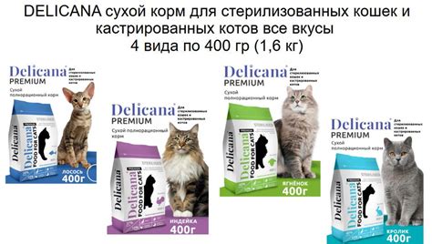 DELICANA сухой корм для стерилизованных кошек и кастрированных котов ...
