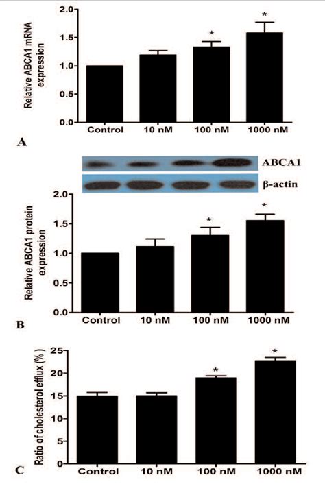 Figure 1 From Angiotensin 1 7 Upregulates Atp Binding Cassette