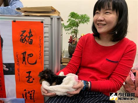 巷仔內／高虹安找女副手！蔡麗清辭檢察官 牽線人是他 司法焦點 要聞 Nownews今日新聞
