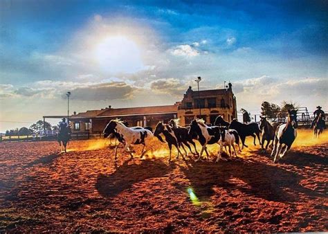 Die 3 Susters Will You Be Joining Us The 31st Of July