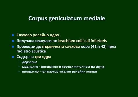 Thalamus Sulcus Hypothalamicus Ventriculus Tertius N Tuberculum Anterior