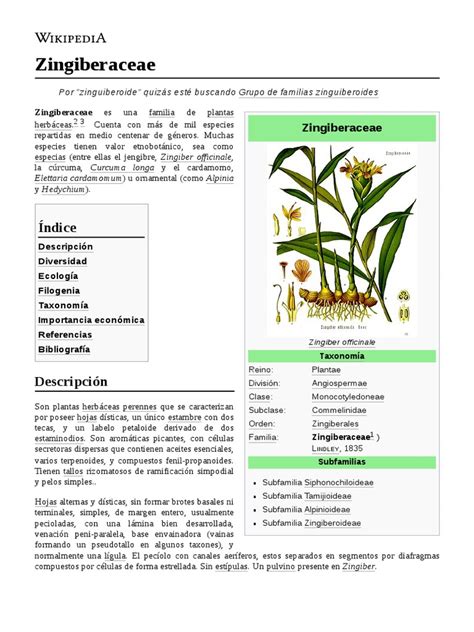 Zingiberaceae Pdf Botánica Plantas